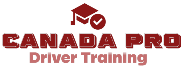 Best Driving School - 98% Pass Rate